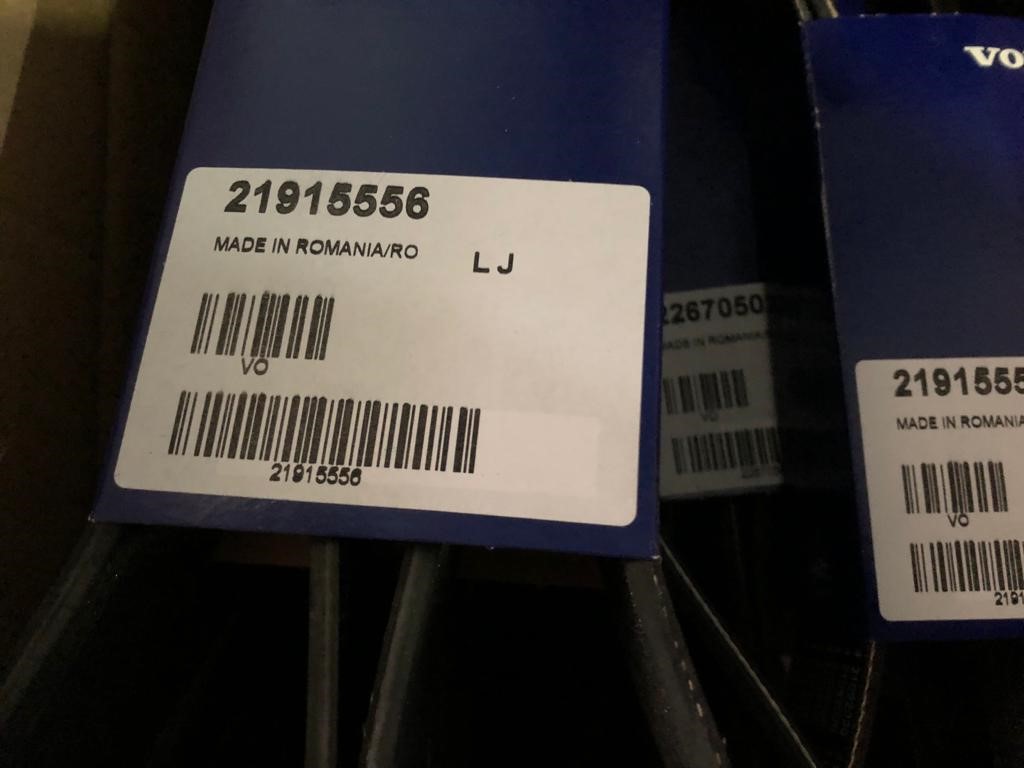 Correa VOLVO. Referencia 21915556 | Scaortiz, lo primero nuestros clientes